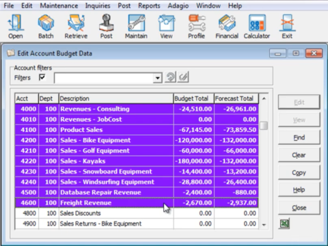 Adagio Ledger: A Budgeting and Forecasting Primer - AccSys Solutions